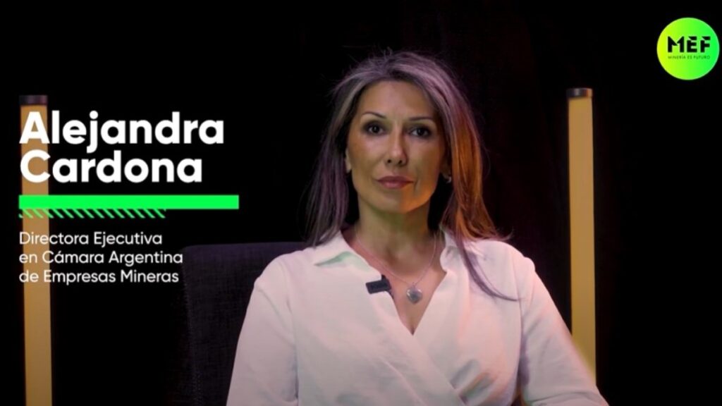 Nació MEF, el streaming de Minería es futuro: entrevista a Alejandra ...